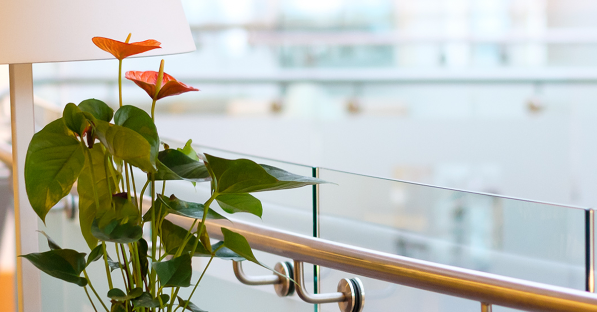 Reception Area With Biophilic Design - Ambius UK Blog