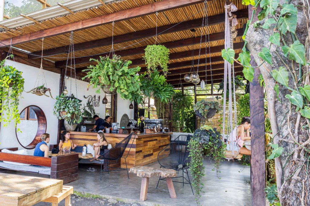 Indoor Planting for Restaurant Interior Design - Ambius UK
